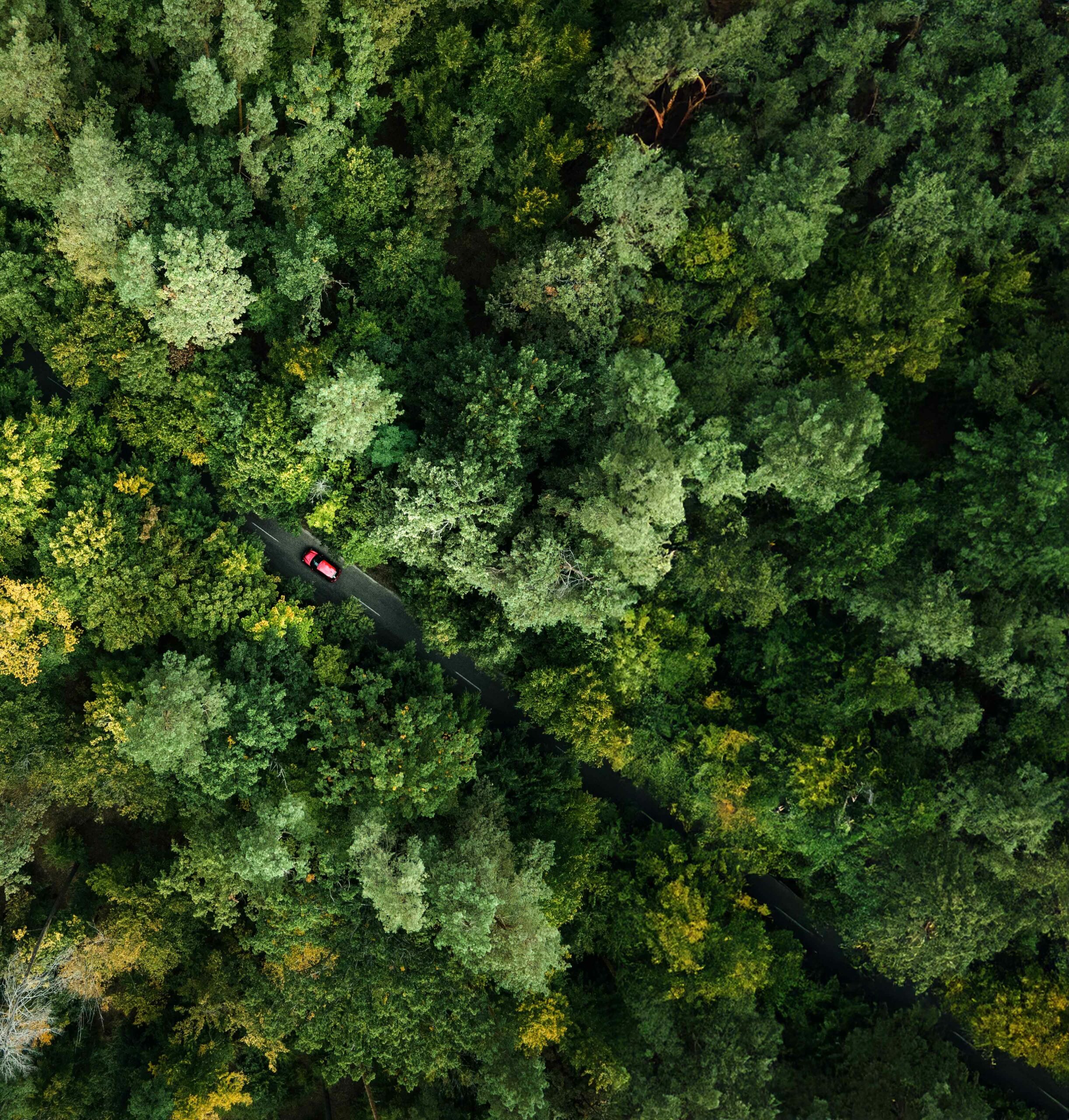 Elektrisch rijden - Uitlaat of laadpaal? - Financial Focus